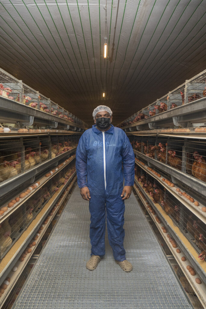 Farming Practice – Edun Poultry Farms